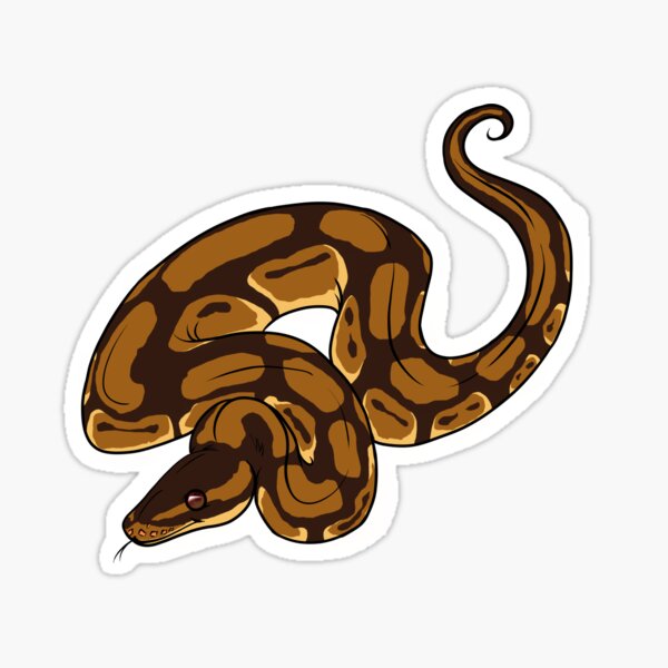 "Wild Type Ball Python" Sticker for Sale by TwilightSaint0 | Redbubble