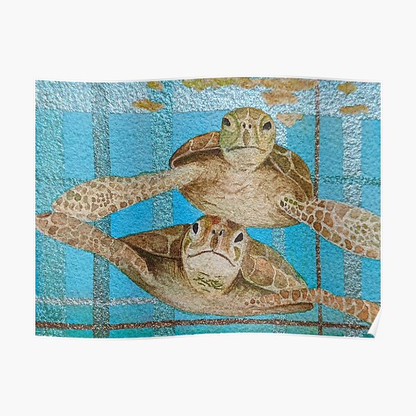 "Loggerhead Sea Turtles Watercolor Art for Conservation" Poster for ...