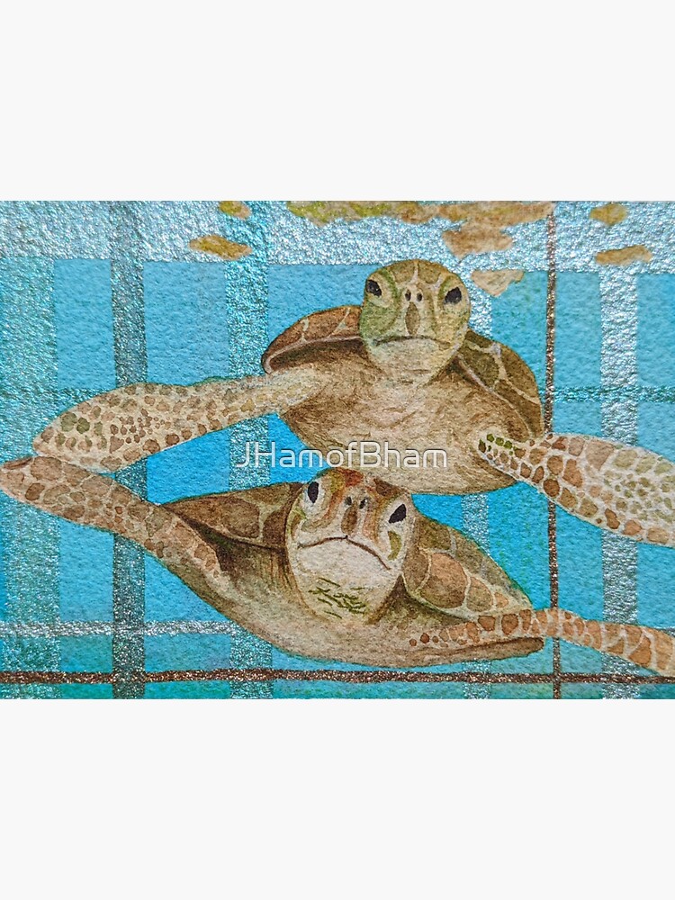 "Loggerhead Sea Turtles Watercolor Art for Conservation" Sticker for ...