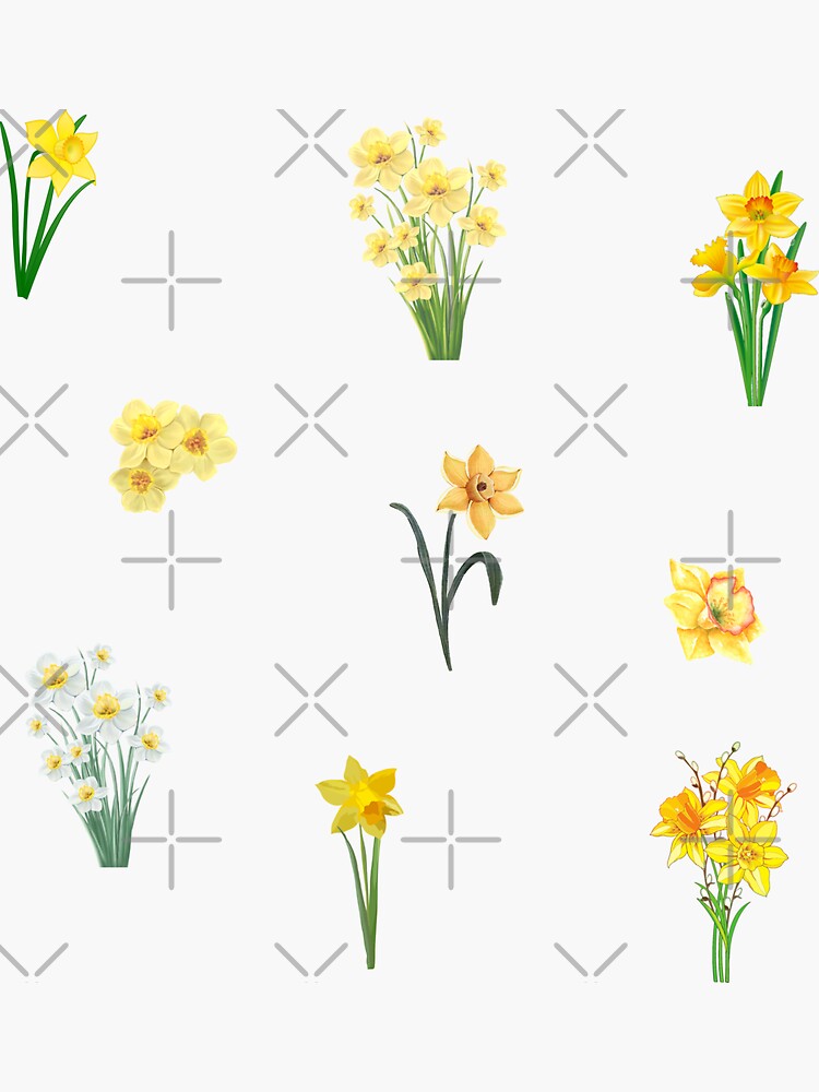 "Mixed Daffodil Flowers" Sticker for Sale by silviaol | Redbubble