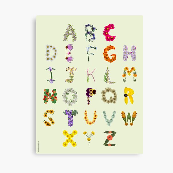"Floral Alphabet Letters | Wildflower Alphabet | Phonetic Embedded ABC ...