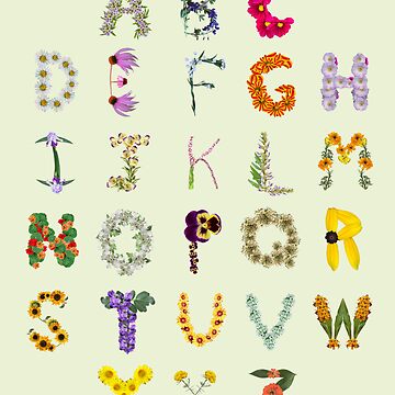 "Floral Alphabet Letters | Wildflower Alphabet | Phonetic Embedded ABC ...