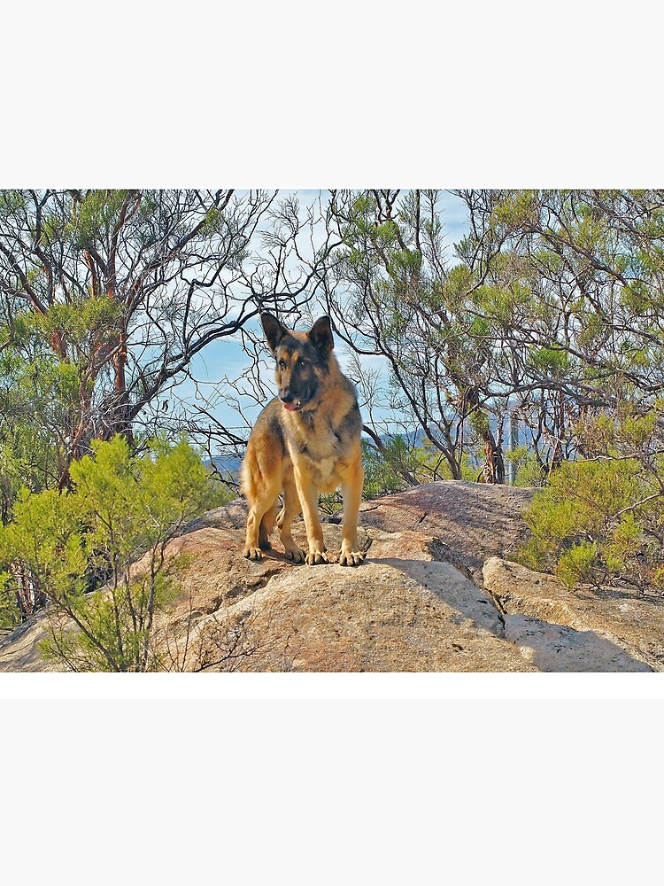 "Carlena on Her Rock" Poster for Sale by shirleyarment | Redbubble