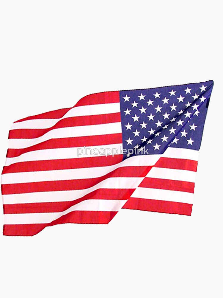 "American Flag - Left Side" Sticker for Sale by pineapplepink | Redbubble