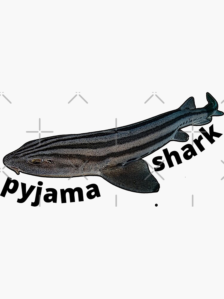 "Pyjama Shark" Sticker for Sale by Trends2Today | Redbubble