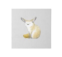 "Fennec Fox" by Sophie Corrigan | Redbubble
