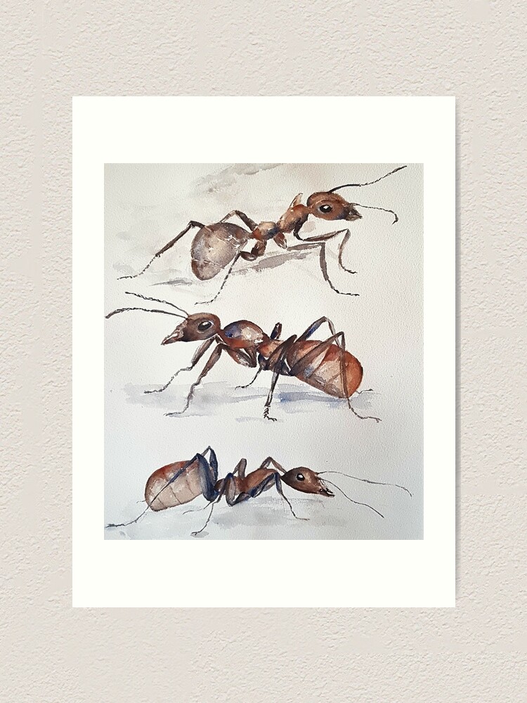 "The ant colony in watercolour ants, insects, bugs, " Art Print for ...