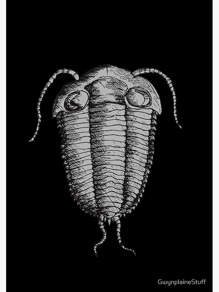 "Trilobite" Poster by GwynplaineStuff | Redbubble