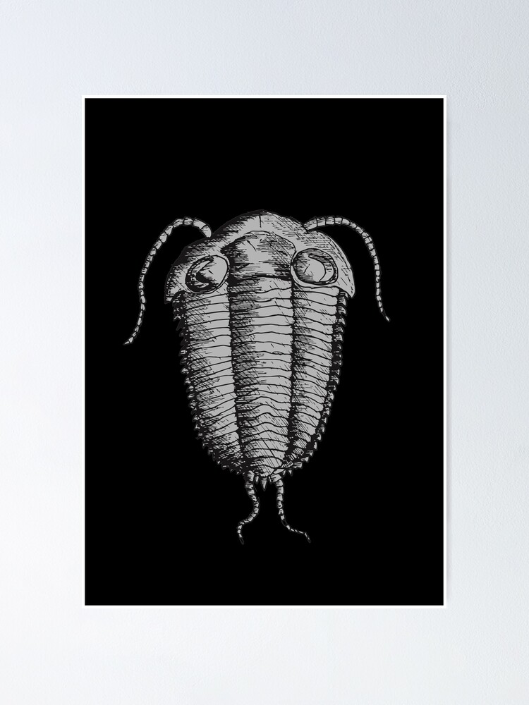 "Trilobite" Poster by GwynplaineStuff | Redbubble