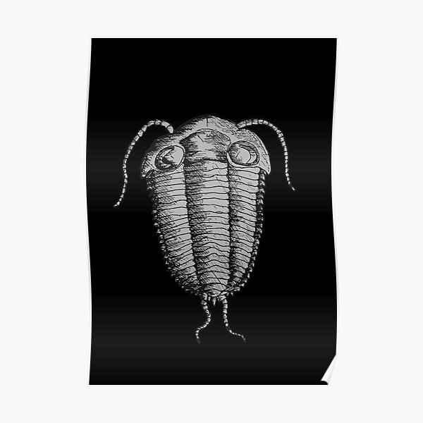 "Trilobite" Poster by GwynplaineStuff | Redbubble