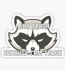 Trash Panda: Stickers | Redbubble