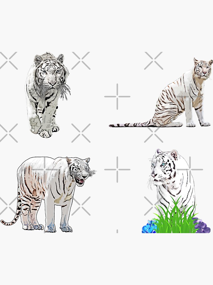 "White Tiger Sticker Pack" Sticker for Sale by PeeLnSticKem | Redbubble