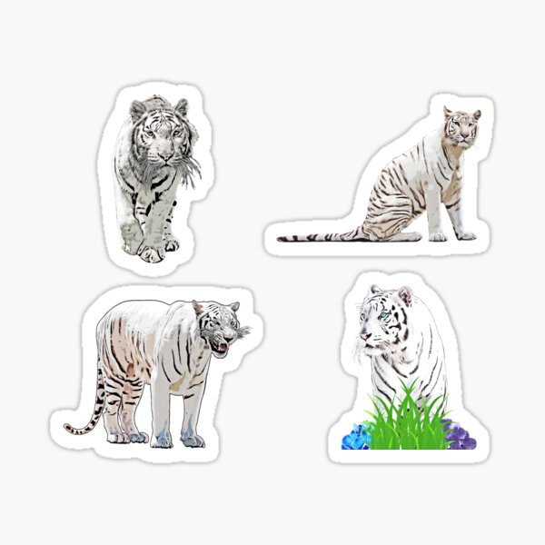 "White Tiger Sticker Pack" Sticker for Sale by PeeLnSticKem | Redbubble