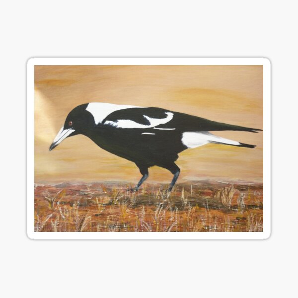 "Grazing Magpie" Sticker for Sale by sybils33 | Redbubble
