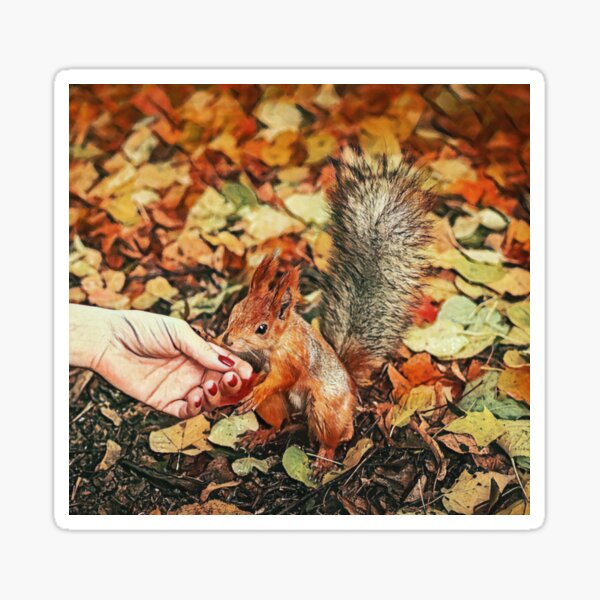 "Squirrel saying hello" Sticker for Sale by MiaMoonShop | Redbubble