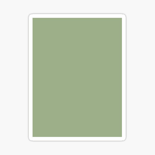 "Solid Colour Pattern - Sage Green" Sticker for Sale by iamwowie ...