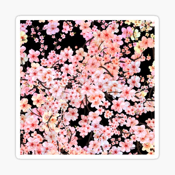 "Japanese Pink Sakura Cherry Blossom Flower" Sticker for Sale by ...