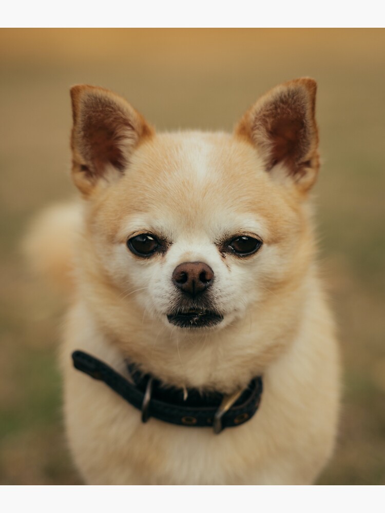 "Welcome to my Store" Sticker for Sale by Kytroma | Redbubble