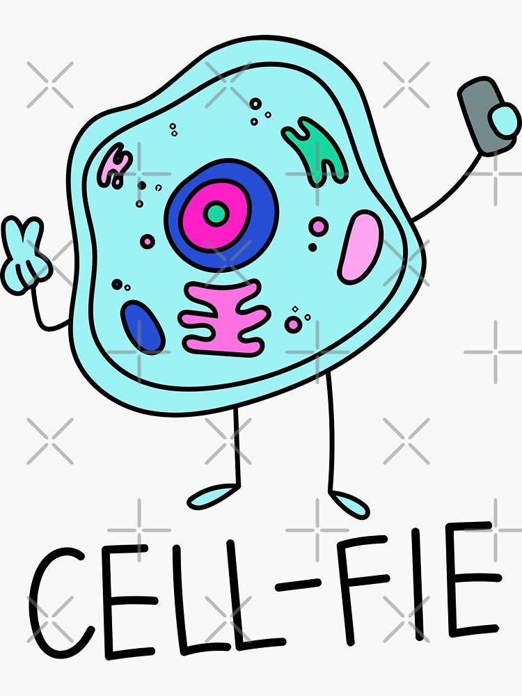 "Cell-Fie" Sticker for Sale by MoHa444 | Redbubble