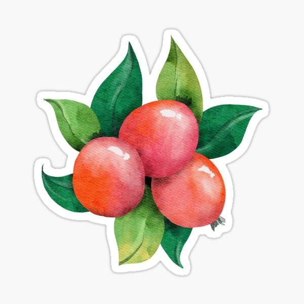 "Berry" Sticker for Sale by lunidesign | Redbubble