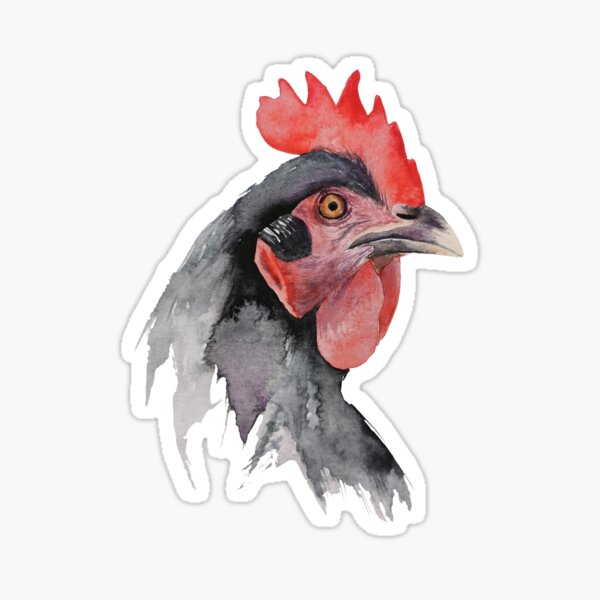 "Black hen , hen portrait" Sticker for Sale by JoannaPol | Redbubble