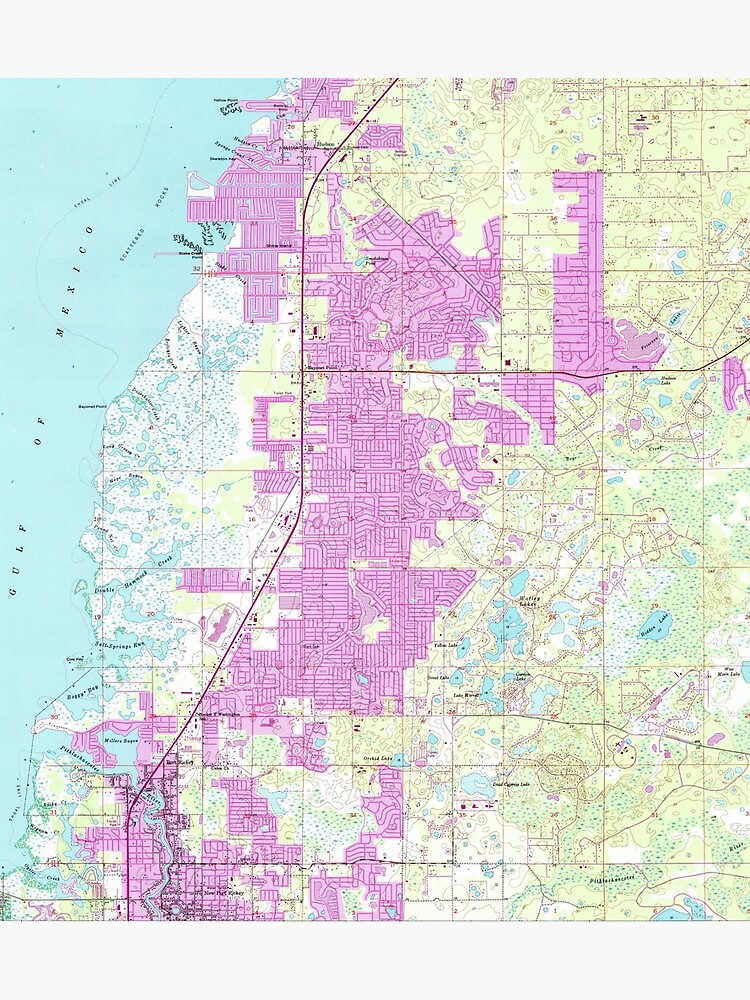 "Port Richey & New Port Richey Florida Map (1954)" Art Print for Sale ...