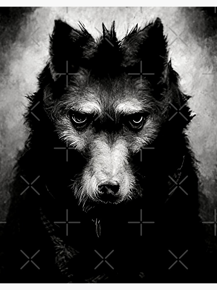 "Old and aggressive wolf b&w" Sticker for Sale by turquoisethings ...