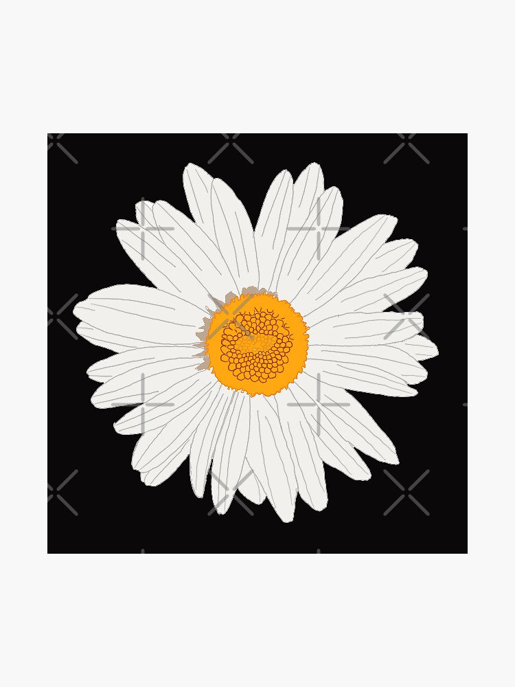 "Daisy drawing" Sticker for Sale by MooresDesigns | Redbubble