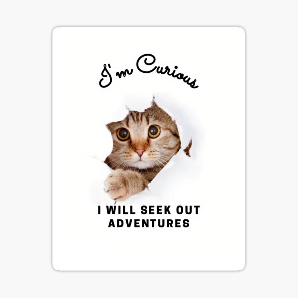 "Curious" Sticker for Sale by kocoroto | Redbubble