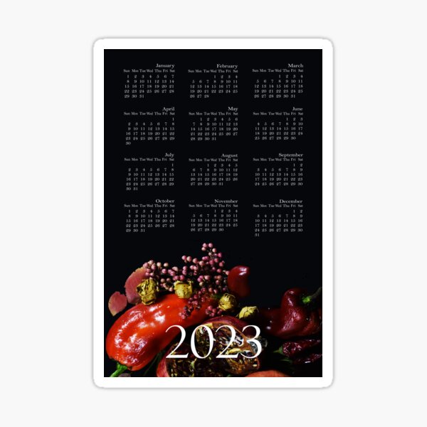 "Calendar 2023" Sticker for Sale by PerlaDesignArt | Redbubble