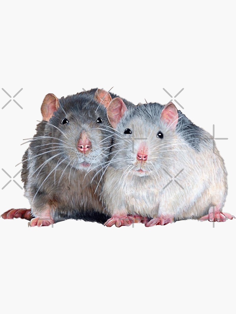 "Rats In Love" Sticker for Sale by KaitlynIllustr8 | Redbubble