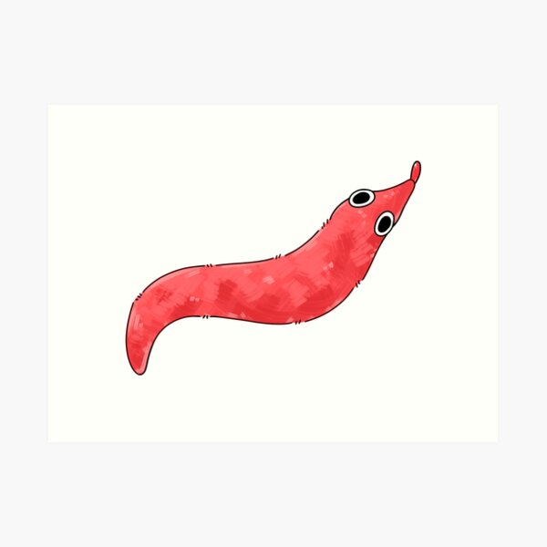 "Worm on A String" Art Print by lexissketches | Redbubble