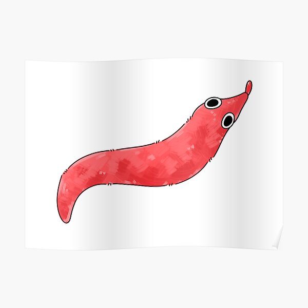 "Worm on A String" Poster by lexissketches | Redbubble