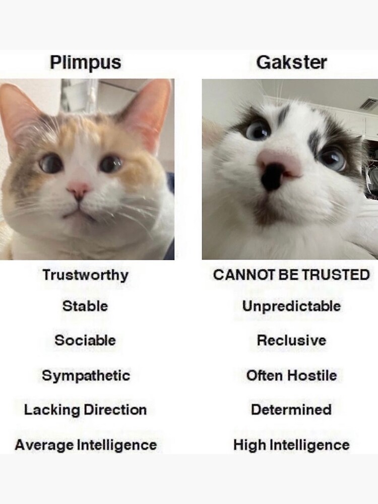 "Plimpus vs Gakster" Sticker for Sale by freegoblinpics | Redbubble