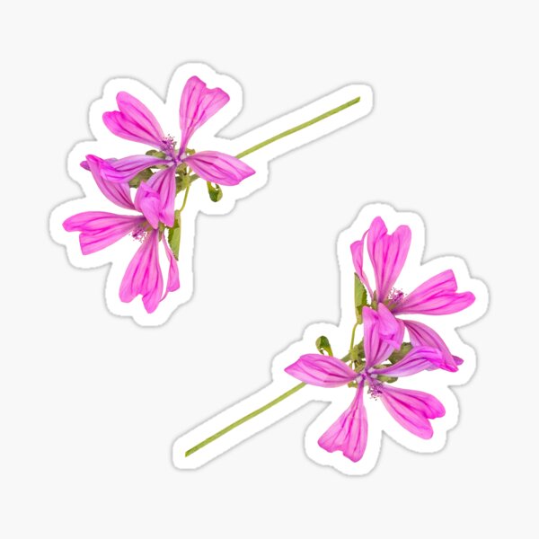 "Real flowers pattern pink magenta realistic sticker pack" Sticker for ...