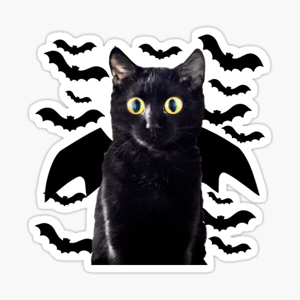"Spooky bat cat" Sticker for Sale by baerdigitals | Redbubble