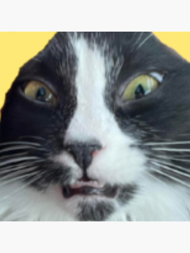 "Cat go Merp" Sticker for Sale by ceclovesmath | Redbubble