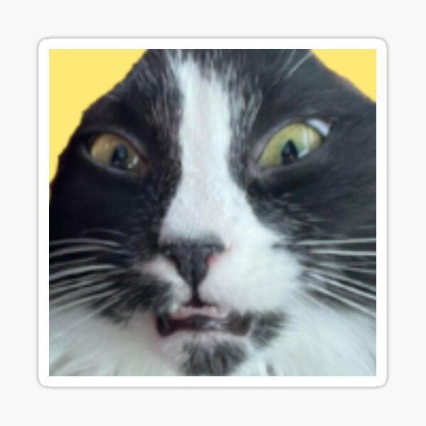 "Cat go Merp" Sticker for Sale by ceclovesmath | Redbubble