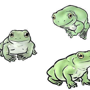 "Whites Dumpy Treefrogs" Sticker for Sale by rawrimamidget | Redbubble