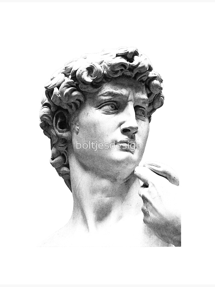 "Michelangelo´s David" Canvas Print for Sale by boltjesdesign | Redbubble