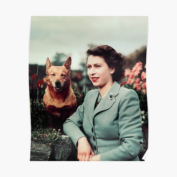 "Queen Elizabeth" Poster for Sale by ValentinaHramov | Redbubble