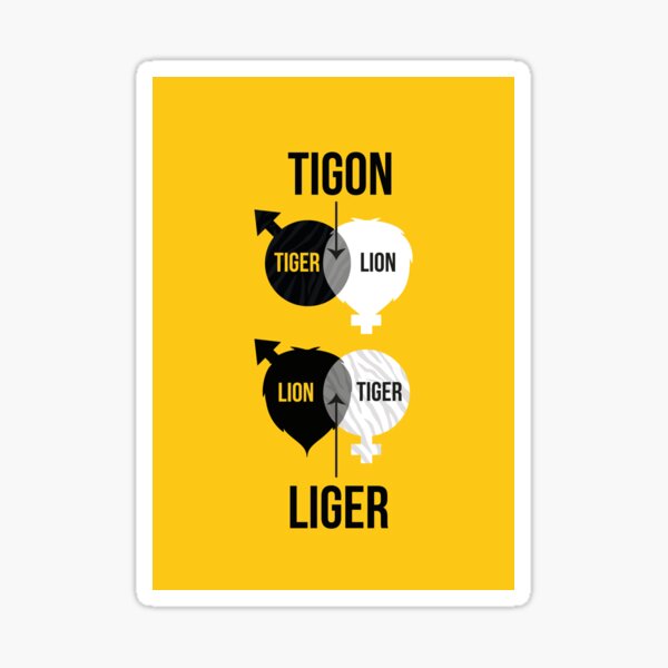 Tigon Merch & Gifts for Sale | Redbubble