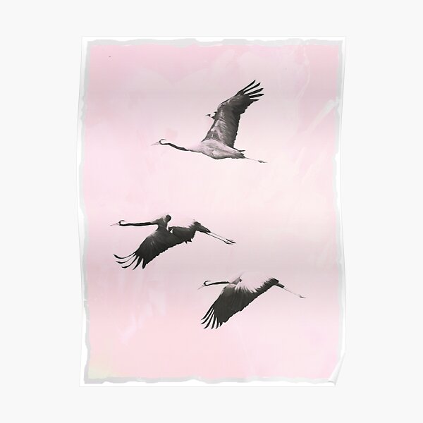 "Hand-paint flying cranes in the pink sky " Poster for Sale by ...