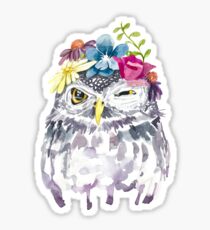 Owl Stickers | Redbubble
