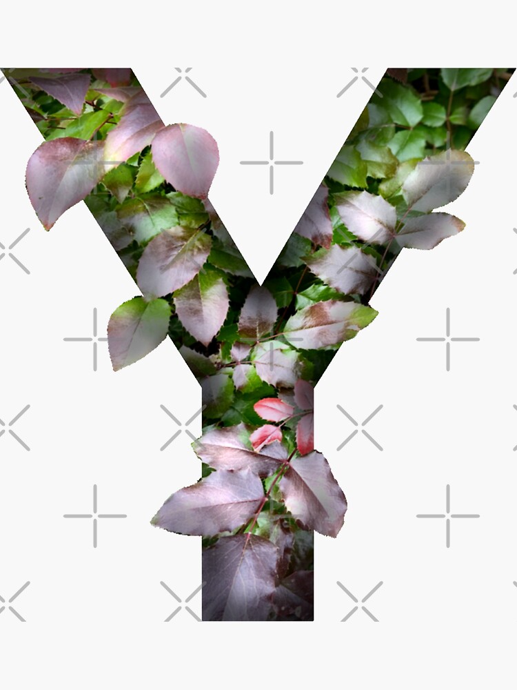 "Floral Letter Y" Sticker for Sale by Moniartprints | Redbubble