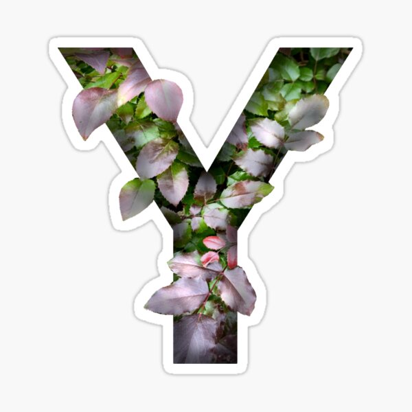 "Floral Letter Y" Sticker for Sale by Moniartprints | Redbubble
