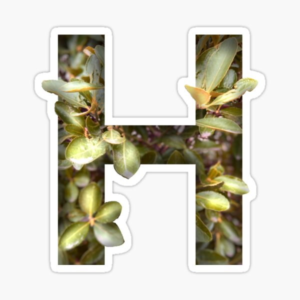 "Floral Letter H" Sticker for Sale by Moniartprints | Redbubble