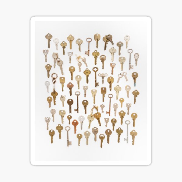 "Found Keys" Sticker for Sale by riotjane | Redbubble