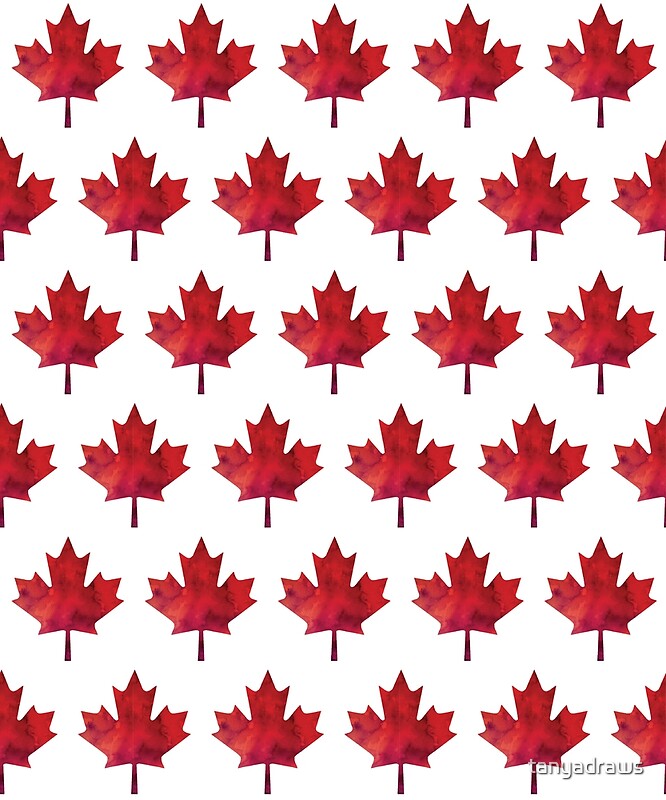 "Canada Day Watercolour Maple Leaf Pattern" by tanyadraws | Redbubble