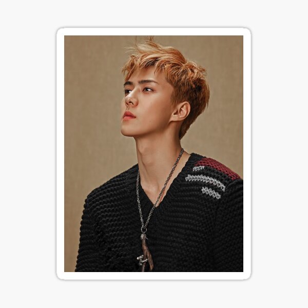 "Sehun Exo " Sticker for Sale by nishapatel7798 | Redbubble